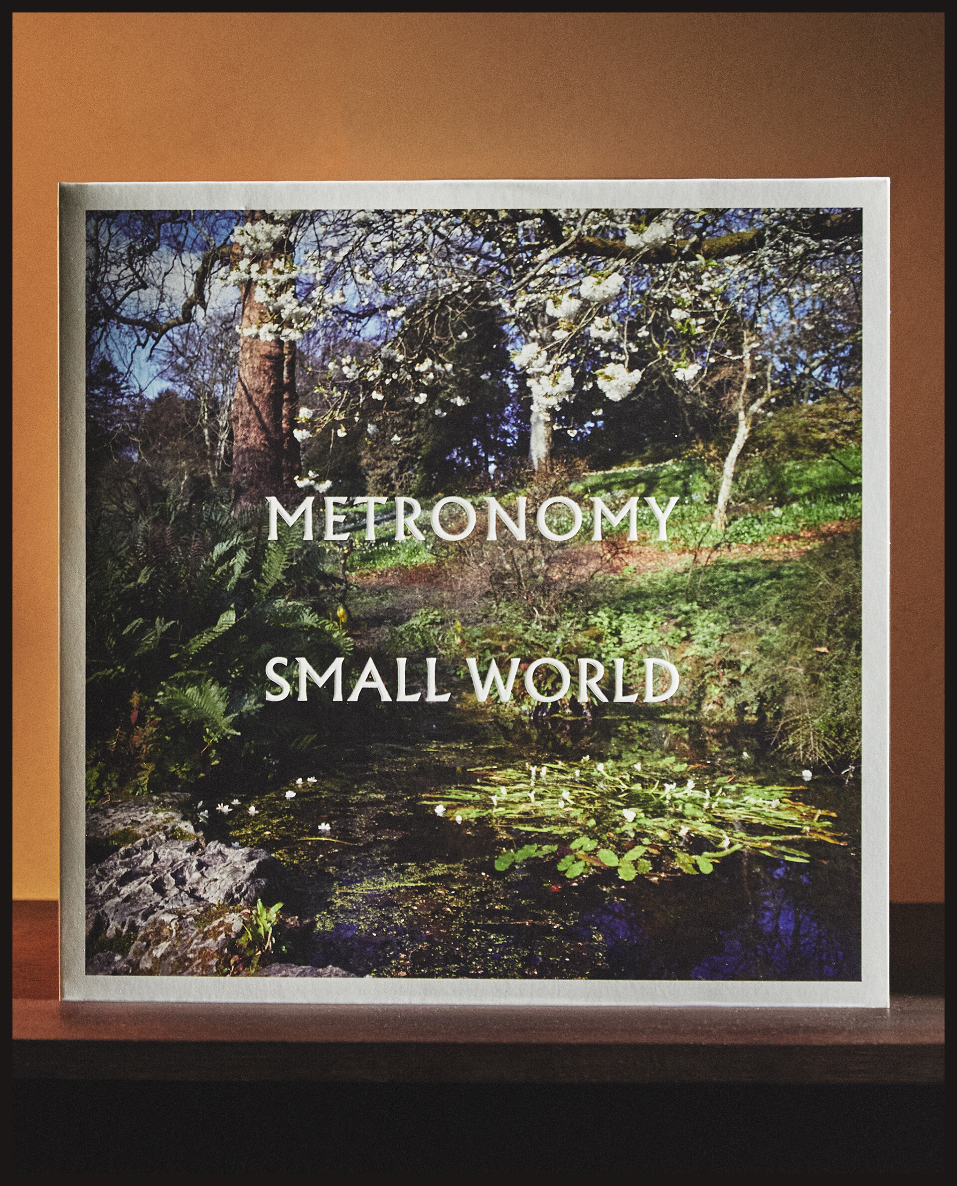 DISCO VINILO METRONOMY: SMALL WORLD | Zara Home España