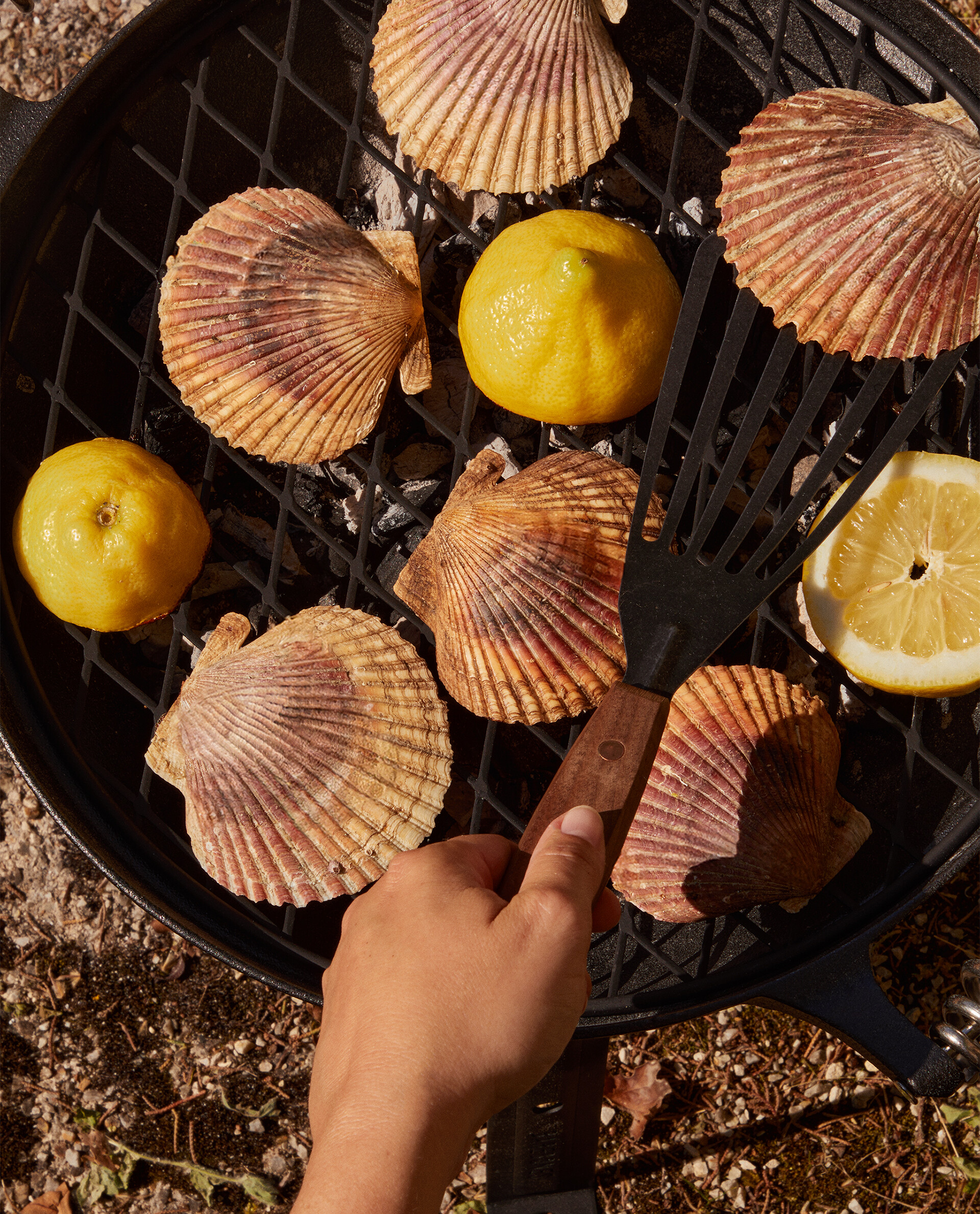 BAREBONES BARBECUE SPATULA | Zara Home UAE - ABU DHABI/AL AIN/RAS AL ...