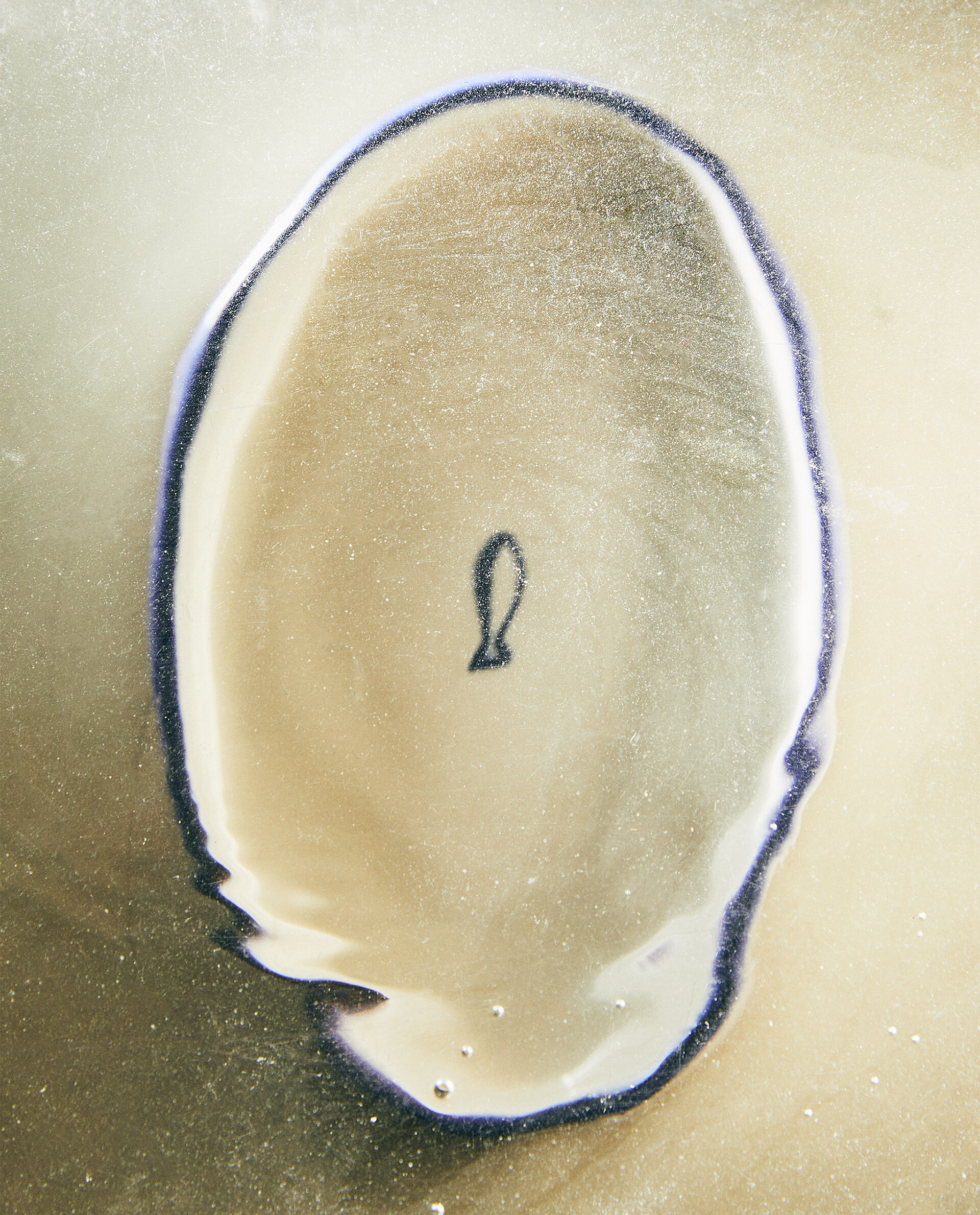 FISH CERAMIC BATHROOM SOAP DISH | Zara Home United Kingdom