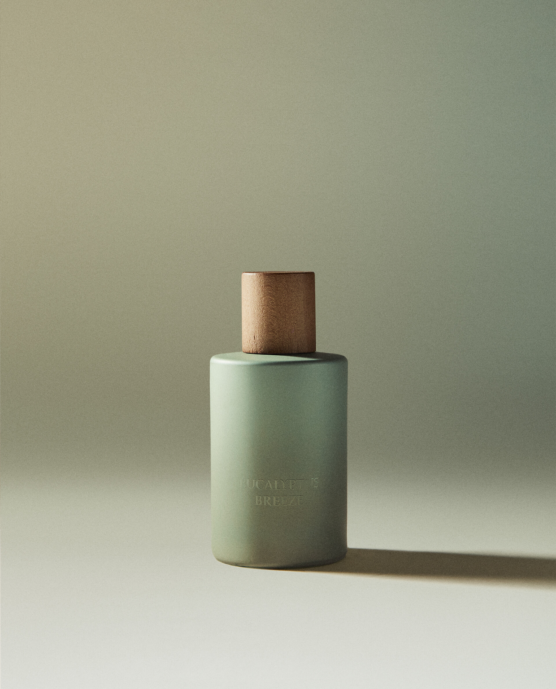 (100 ML) DIFUSOR SPRAY EUCALYPTUS BREEZE | Zara Home Chile