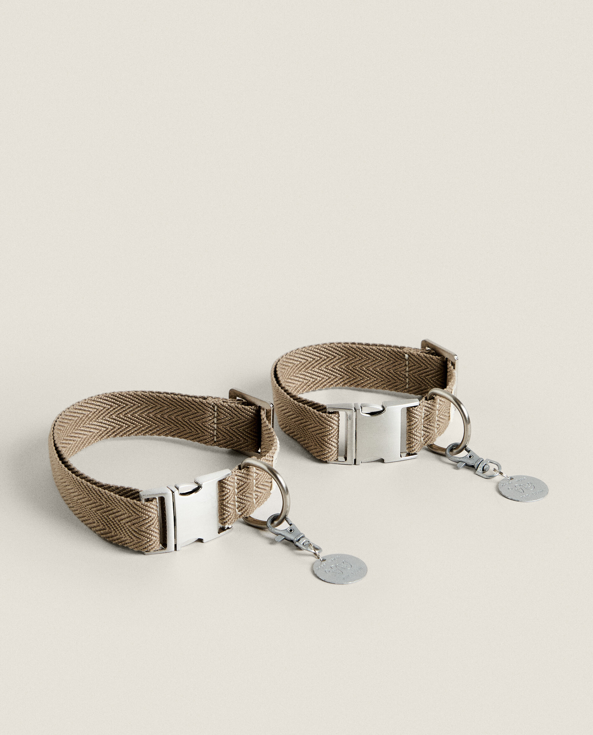 COLOURED PET COLLAR Zara Home Ireland