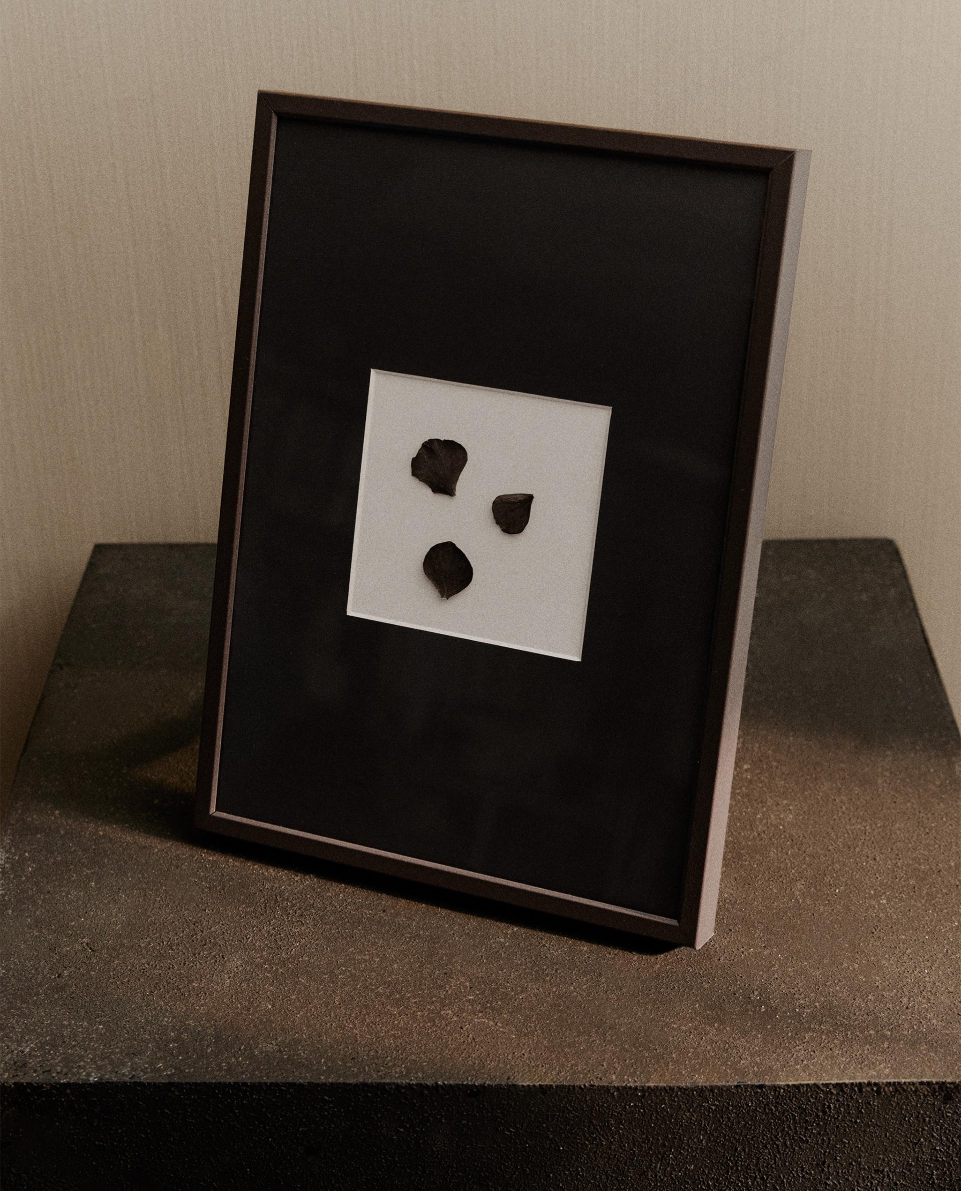 METALNI RAM ZA SLIKE U BOJI | Zara Home SRBIJA / SERBIA