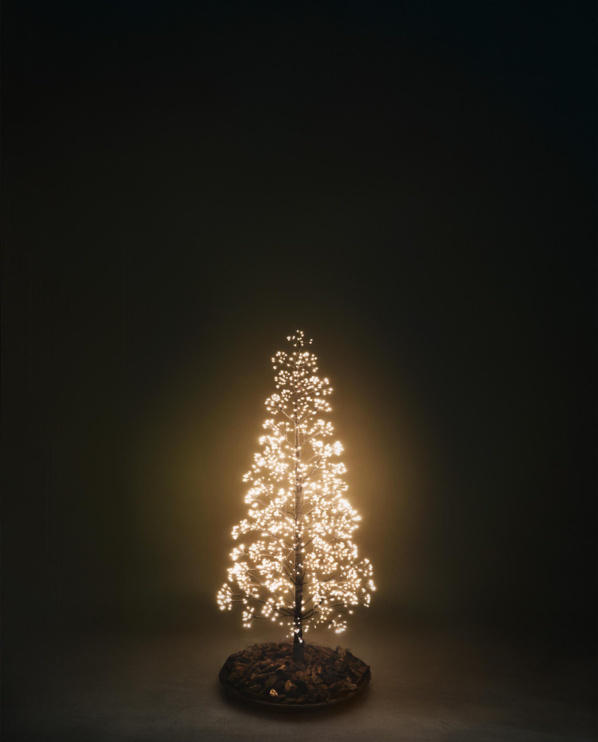 LED LIGHT CHRISTMAS TREE (50 CM) | Zara Home Monaco