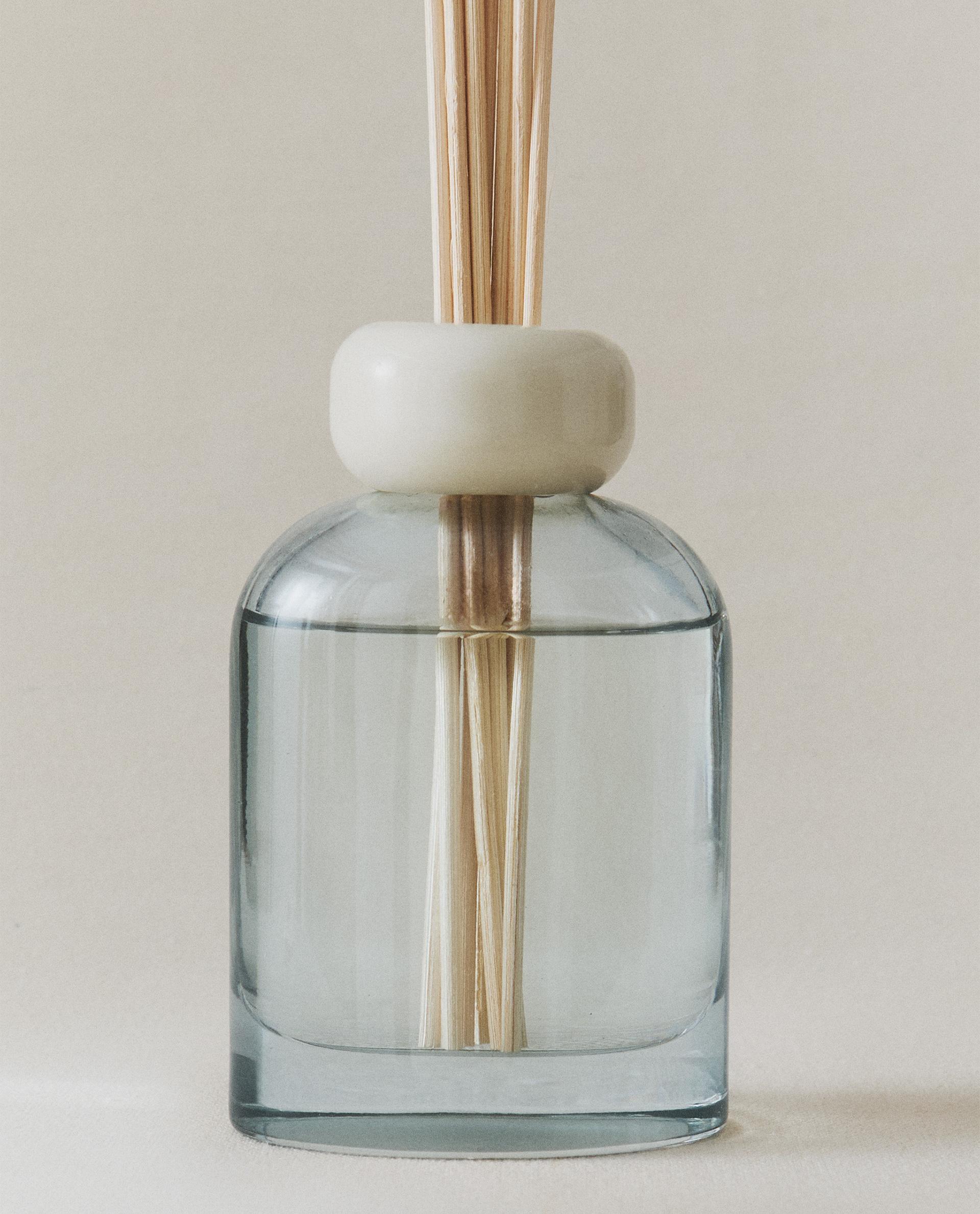 (120 ML) ΑΡΩΜΑΤΙΚΑ ΧΩΡΟΥ ΜΕ ΣΤΙΚ ÉCLAT DE LYS | Zara Home Ελλάδα / Greece