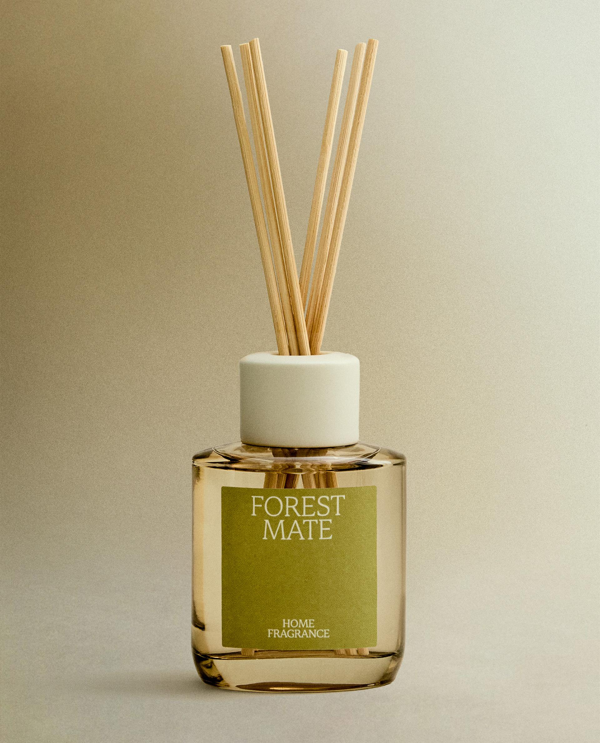 (100 ML) FOREST MATE REED DIFFUSERS | Zara Home Thailand